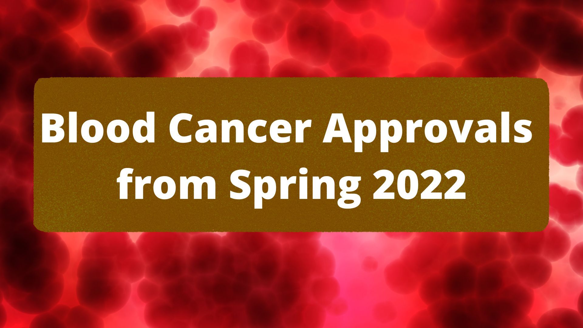 4 Recent FDA-Approved Blood Cancer Drugs That Patients May Have Missed