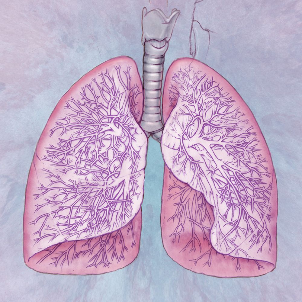 Exkivity Delivers Minimal Benefit to Patients with Non-Small Cell Lung ...